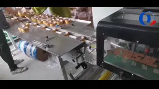 ZRS-450X high-efficiency pillow packing machine