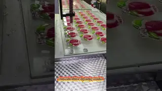 Automatic Sticker‑Pasting & Dispensing Machine