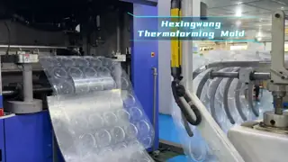 Bowl Lid Thermoforming Mold Trial Test on Asano Machine