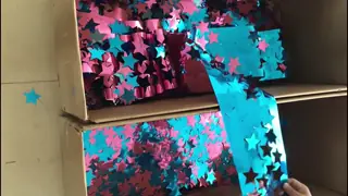 Star Shiny Metallic PET Decorative Slices
