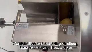 Industrial Blast Freezer for Meat and Chicken Rapid Cooling