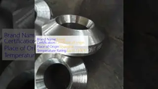 High Pressure 316L Threadolet Premium Industrial Fitting