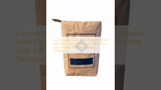 Heavy Duty Industrial Kraft Paper Valve Bags for Bulk Powder