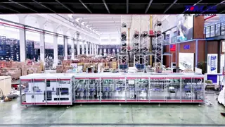 DSJ-300-2 Full Servo Horizontal Roll Film Packaging Machine