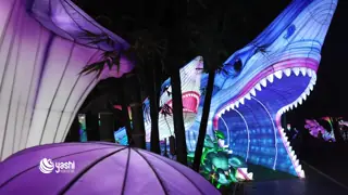 Giant Shark Tunnel Festival Lantern For Ocean Theme Light Show