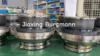 Mechanical seal for chemical pump