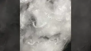 18 Denier Industrial Grade PP Staple Fiber