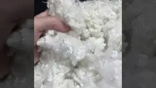 Cloudy Hollow Polyester Staple Fiber 3D*38MM, Consistent Bulkiness for Continuous Filling Production