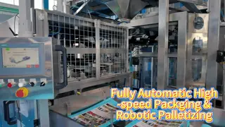 Automatic 25kg Industrial Bag Filling Machine Solution