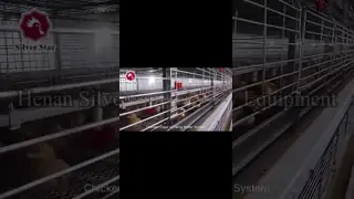 Automatic Broiler Cage System Boost Poultry Farm Profits