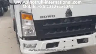 SINOTRUK HOWO Cargo Truck High Safety and Efficiency
