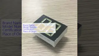 Bright 20mm White 7 Segment LED Display for Controllers