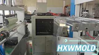 PET Fruit Clamshell Box Mold Trial on Automatic Thermoforming Machine