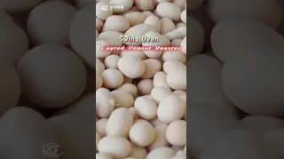 Full automatic swing coating peanut oven:  fish-skin peanuts are crispy and don't stick to the teeth