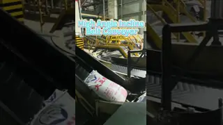 Custom Palletizing Conveyor for Manufacturing Automation