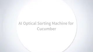 AI Optical Sorting Machine for
Cucumber