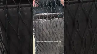 Stainless Steel Wire Rope Safety Mesh | Anti-fall & Zoo Protection Cable Net