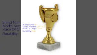 Premium 18 Inch Metal Trophy for Awards and Recognition