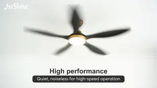Modern 56 Inch Ceiling Fan with LED Light Quiet Cooling