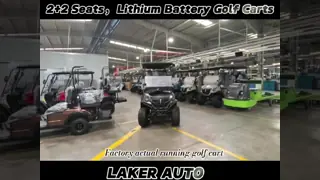 Chinese Factory actual running golf cart