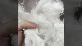 Grade 1 Virgin PET Staple Fiber 1.4D 38MM, Even Fineness Clean Raw Polyester Fiber for Carding Spinn