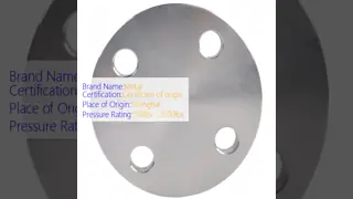 Premium Weld Neck Pipe Flanges Durable Steel Fittings