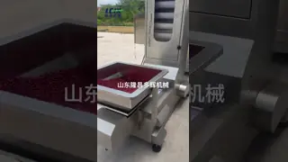 6m Double Drum Red Bean Roasting Production Line