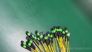 288F MPO/MTP PatchCord