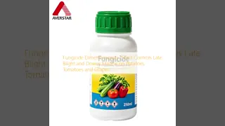 Stop Late Blight and Downy Mildew Fast