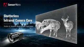 Shutterless Infrared Camera Module: Stable Smooth Observation for Wildlife Night Vision