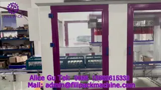 2326 P6 Poland Basket Unloading, Washing, and Loading Production Line