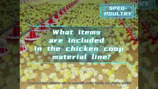 Automatic Poultry Feeding and Drinking System Solution
