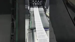 How Bibles Are Printed Quality Bible Manufacturing Process