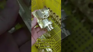 CNC Machining Expert - Brass Fluid Control Valve Body Custom