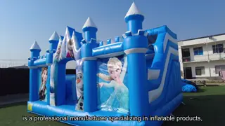 Frozen Inflatable Castle Slide Combo for Rental Business