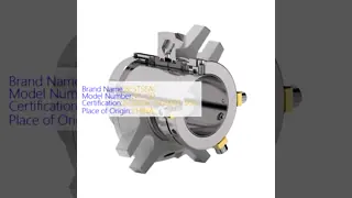 EBARA DSC Double Cartridge Mechanical Seal Replacement