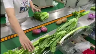 Large-scale vegetable packaging machine