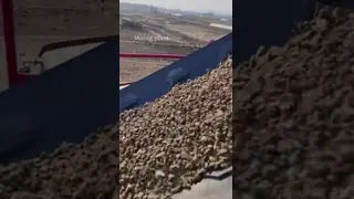HZJS35 Stationary Concrete Plant Fast Installation