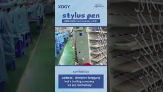 What does 