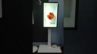 Glasses-free 3D advertising display