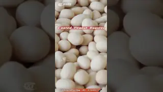How to Make Fish Skin Peanut | Hot Air Swing Roaster Oven #baked #roasting # #processing #peanut