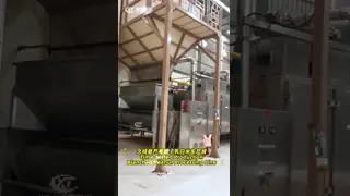Fully Automatic Blanched Peanut Processing Line | Roasting-Blanching-Sorting-Packaging #peeling