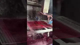 Automatic Brake Pad Spraying Machine for Precision Coating
