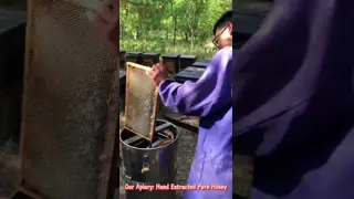 Pure Honey From Our Own Bee Farm
