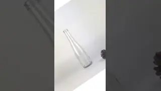 300ml Clear Glass Beverage Bottle with Screw Mouth
