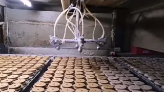 Precision Automatic Coating Line for Wooden Cup Lids