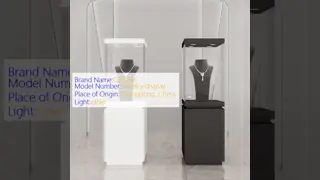 Custom Jewelry Display Case with LED Lighting for Retail