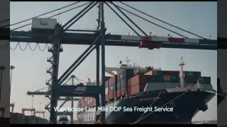 DDP Shipping to USA Warehouse LastMile DDP Sea Freight Service