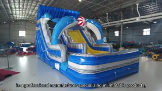 Commercial Dolphin Inflatable Water Slide for Party Rentals