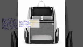 Best Airline Approved Expandable Pet Carrier for Travel